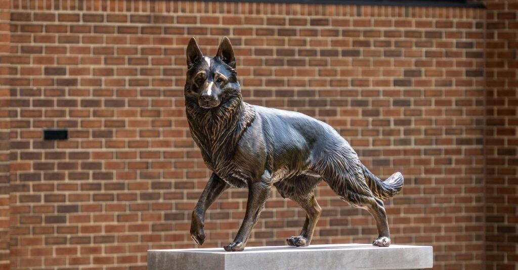 Police K9 Statue | Custom Bronze K9 Officers | Brodin Studios